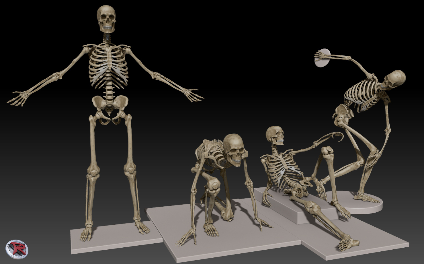 ♂️ Male and Female Poseable Skeleton・ STL File for ・Cults