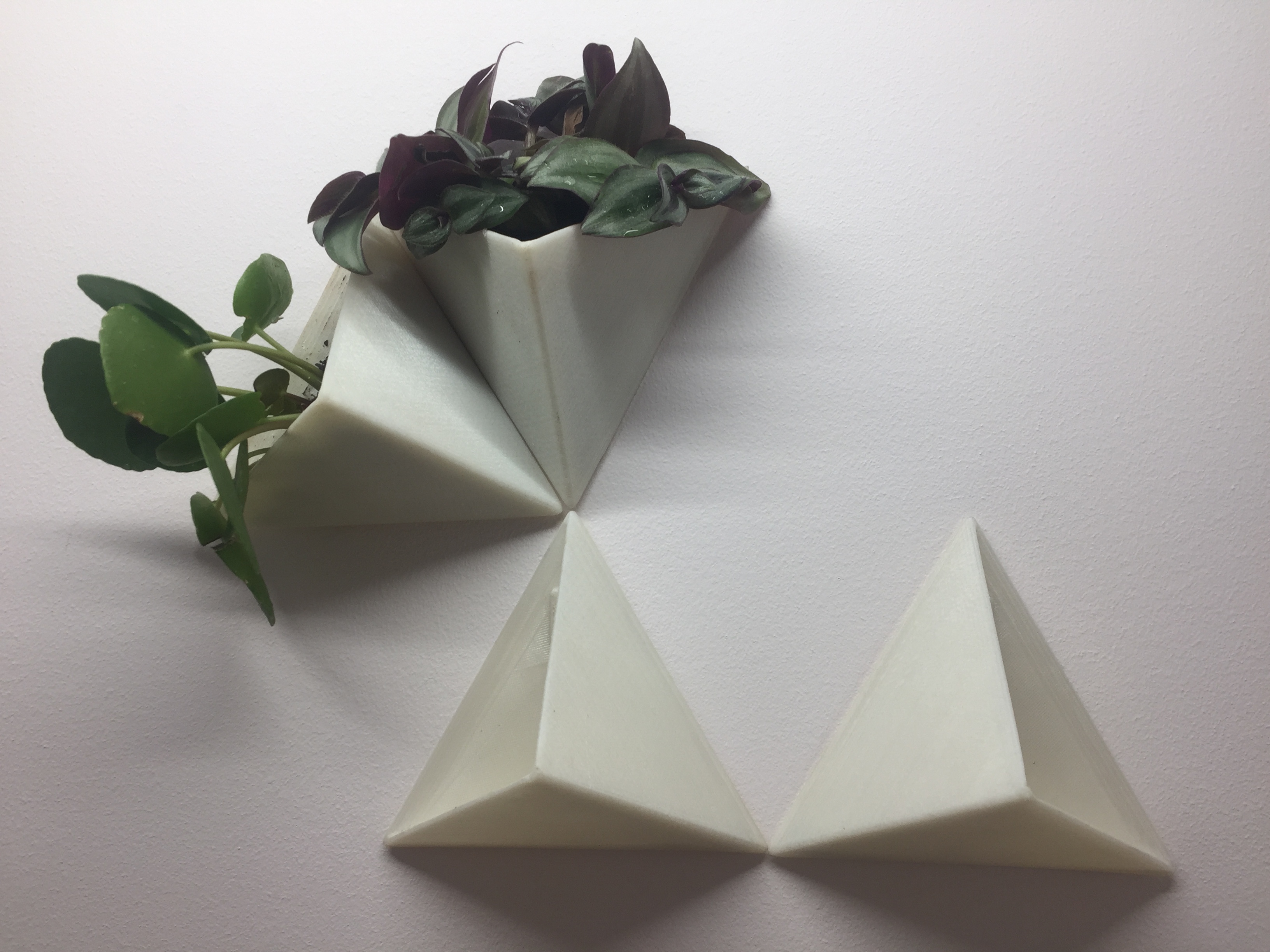 🌿 Plant Triangle・Free STL File for ・Cults