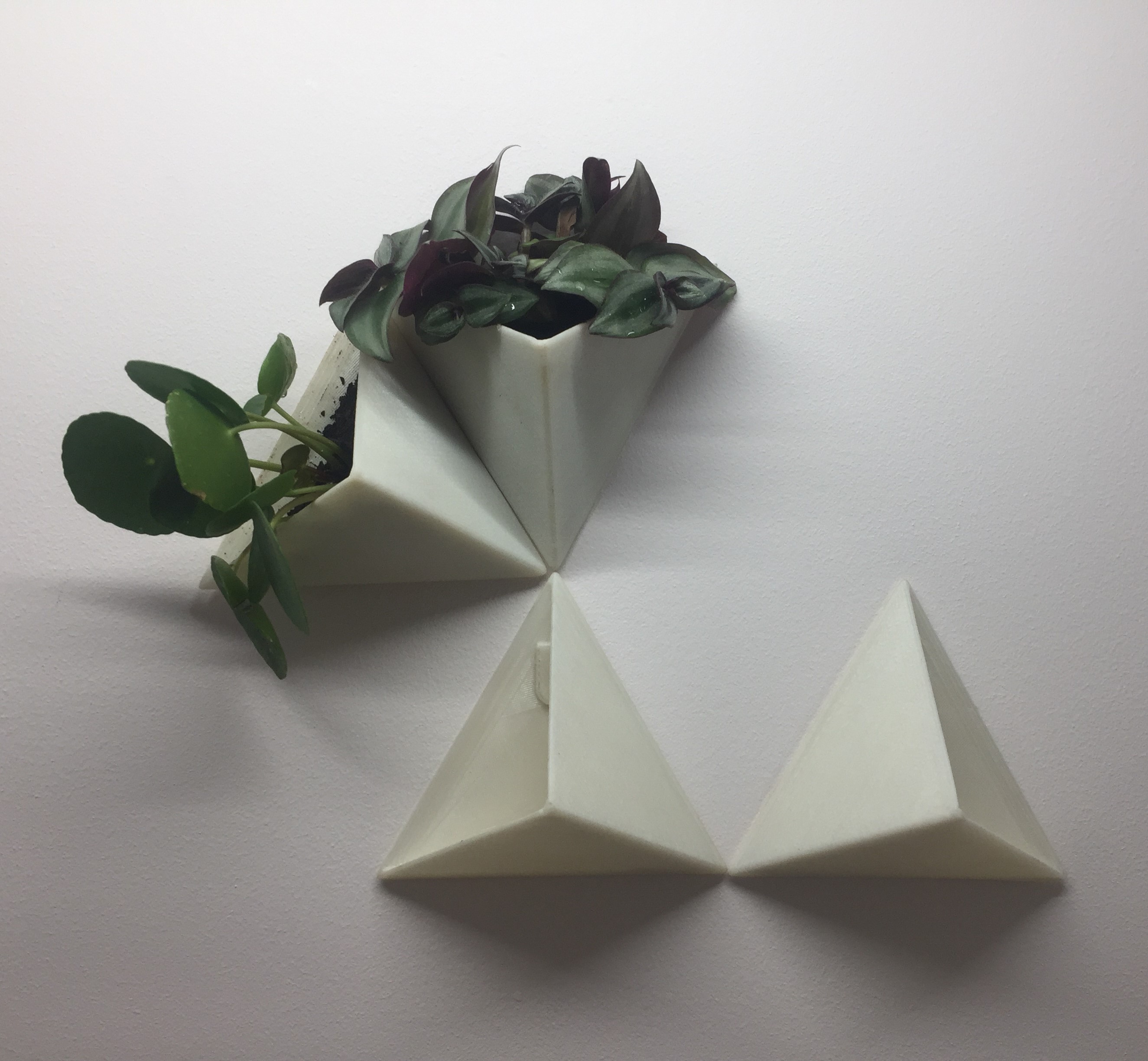 🌿 Plant Triangle・Free STL File for ・Cults