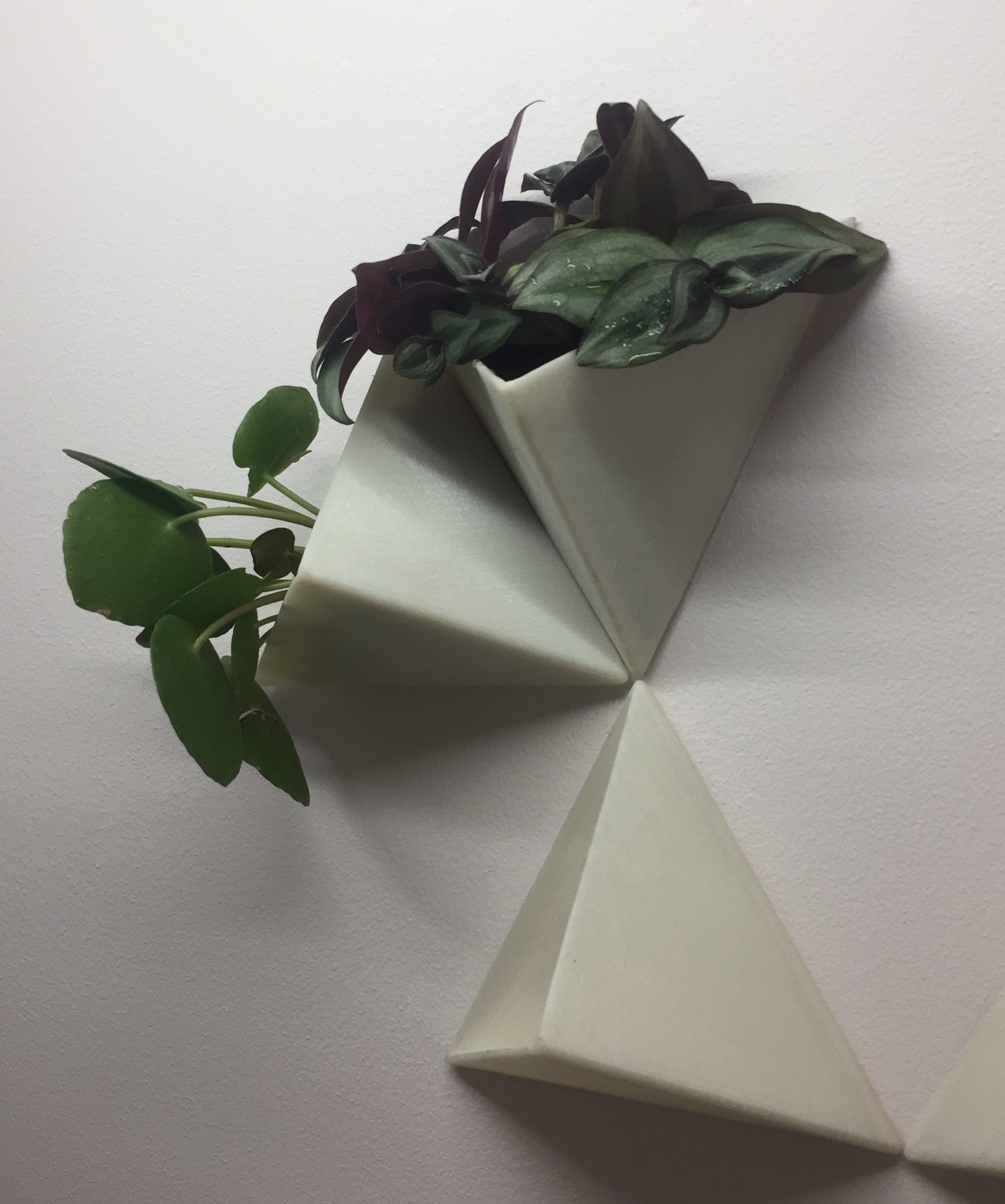 🌿 Plant Triangle・Free STL File for ・Cults