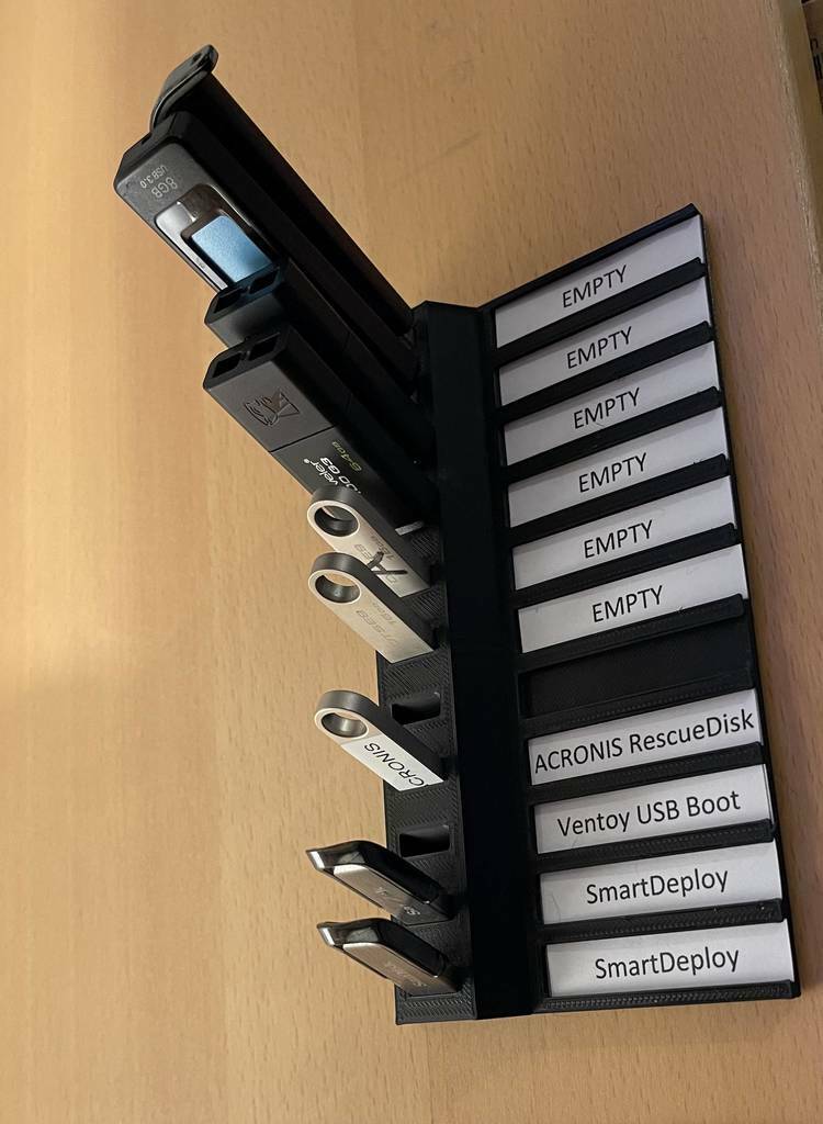 Free STL file Vertical USB stick holder with label (for 11 USB sticks ...