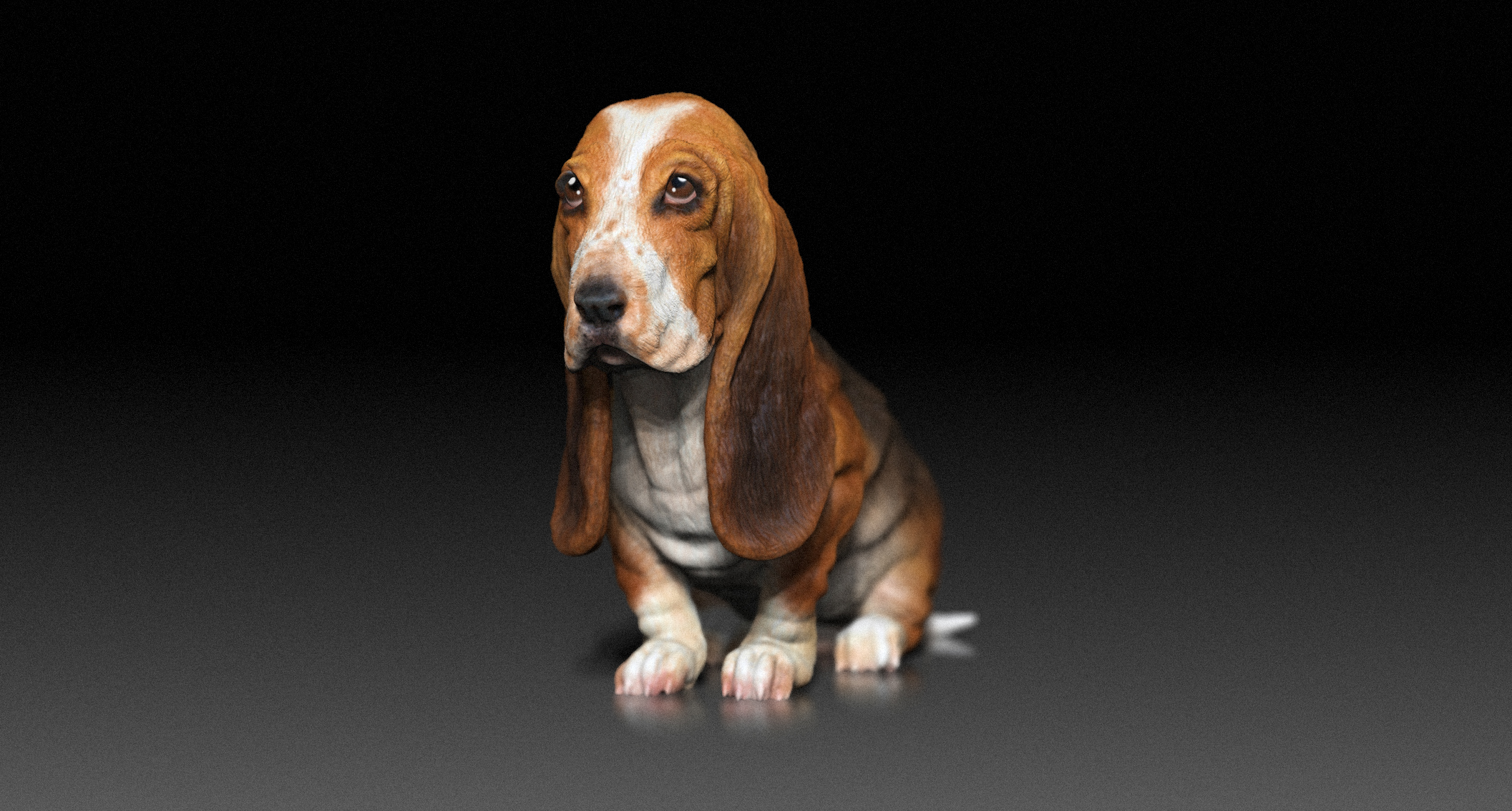 🎨 BASSET HOUND (sitting pose)-STL & VRML Color Format - HUSH PUPPY ...