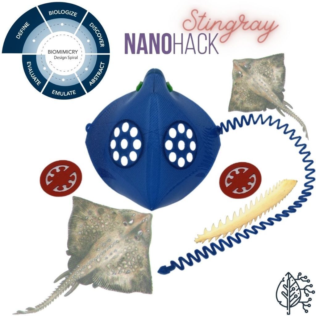 Free STL file NANO HACK STINGRAY - FULL MODULE 🧞‍♂️ ・3D printable ...