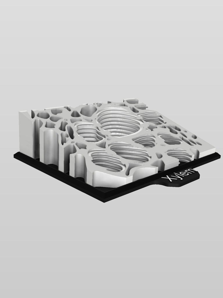 3D file Plant Xylem Structure Model with frame 🌿 ・3D printable design ...