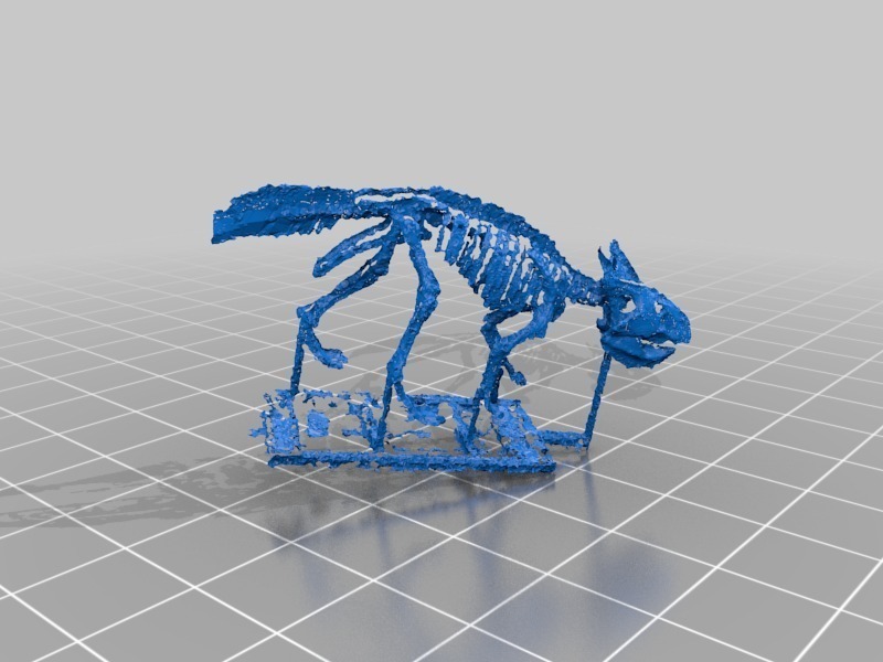 Free 3D file Protoceratops at the ROM (STL) 👽 ・Design to download and ...