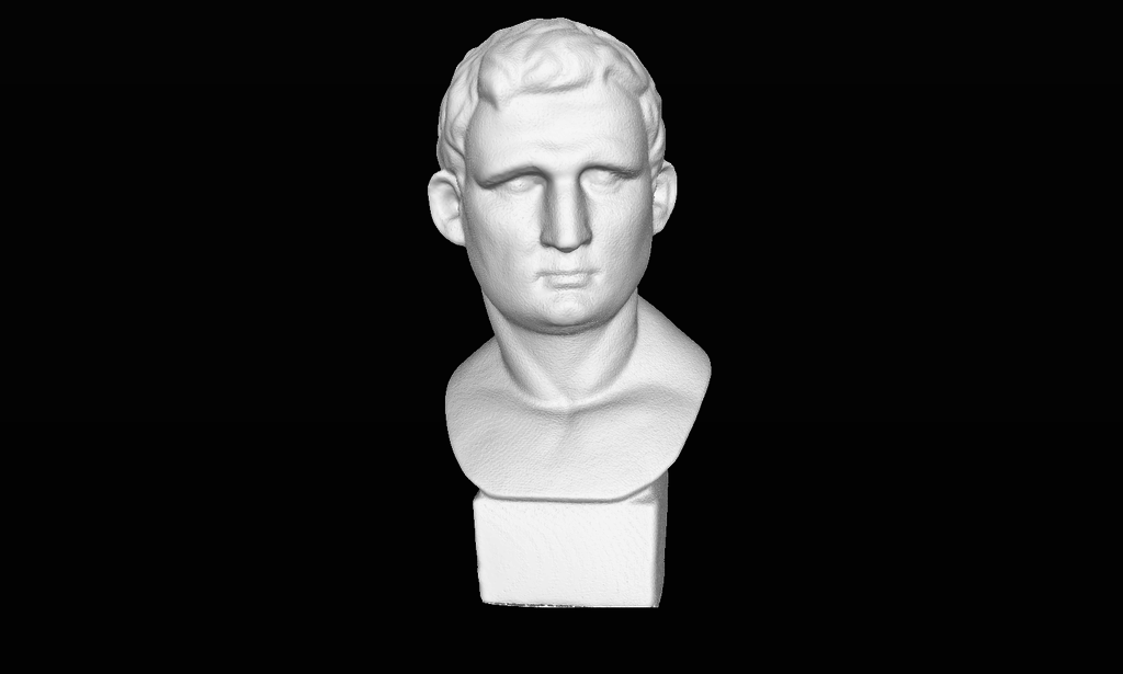 Free STL file Agrippa（generated by Revopoint POP） 🎨 ・3D printing design ...