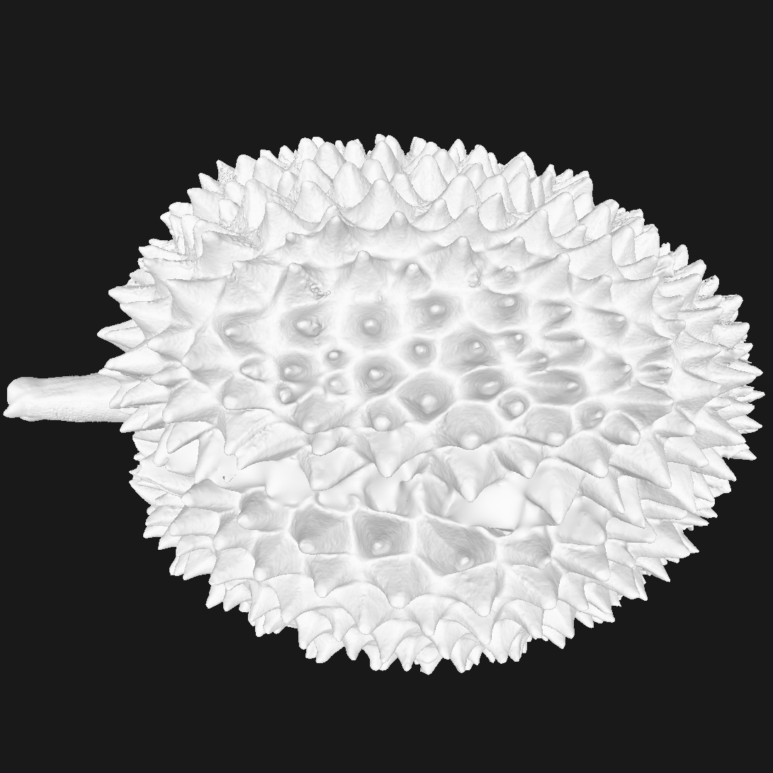 📱 Livestream Durian（generated by Revopoint POP）・Free STL File for ・Cults