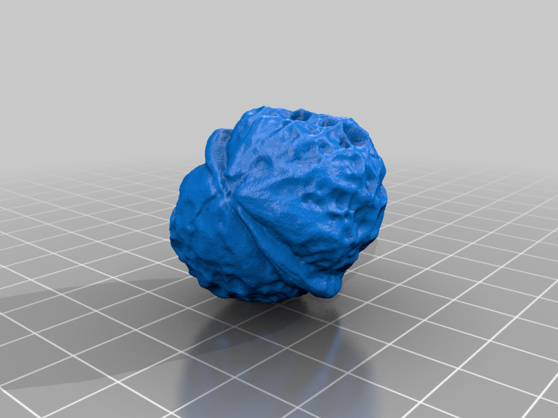 Free STL file Walnut（scanned by Revopoint MINI） 🔩 ・3D print design to ...