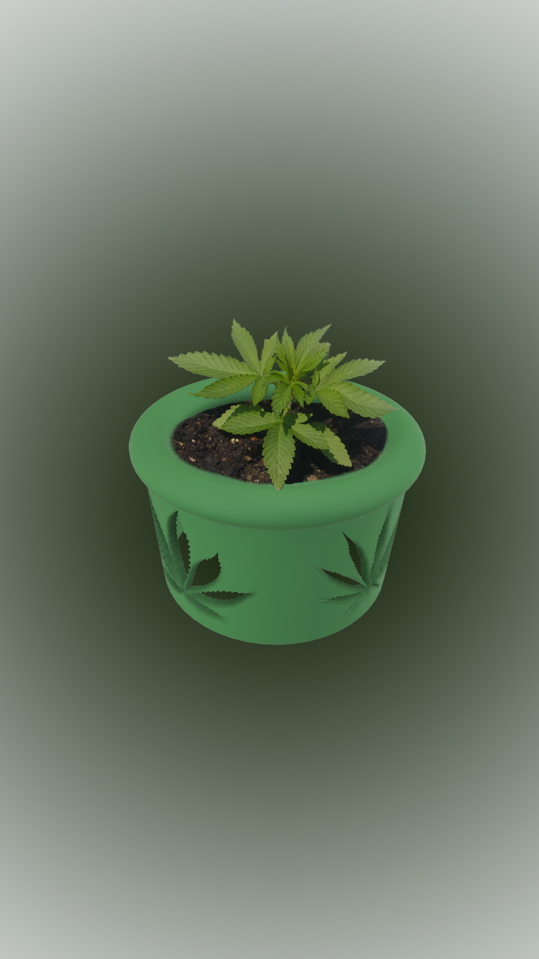 Free STL file Cannabis pot 🪴・3D printable object to download・Cults