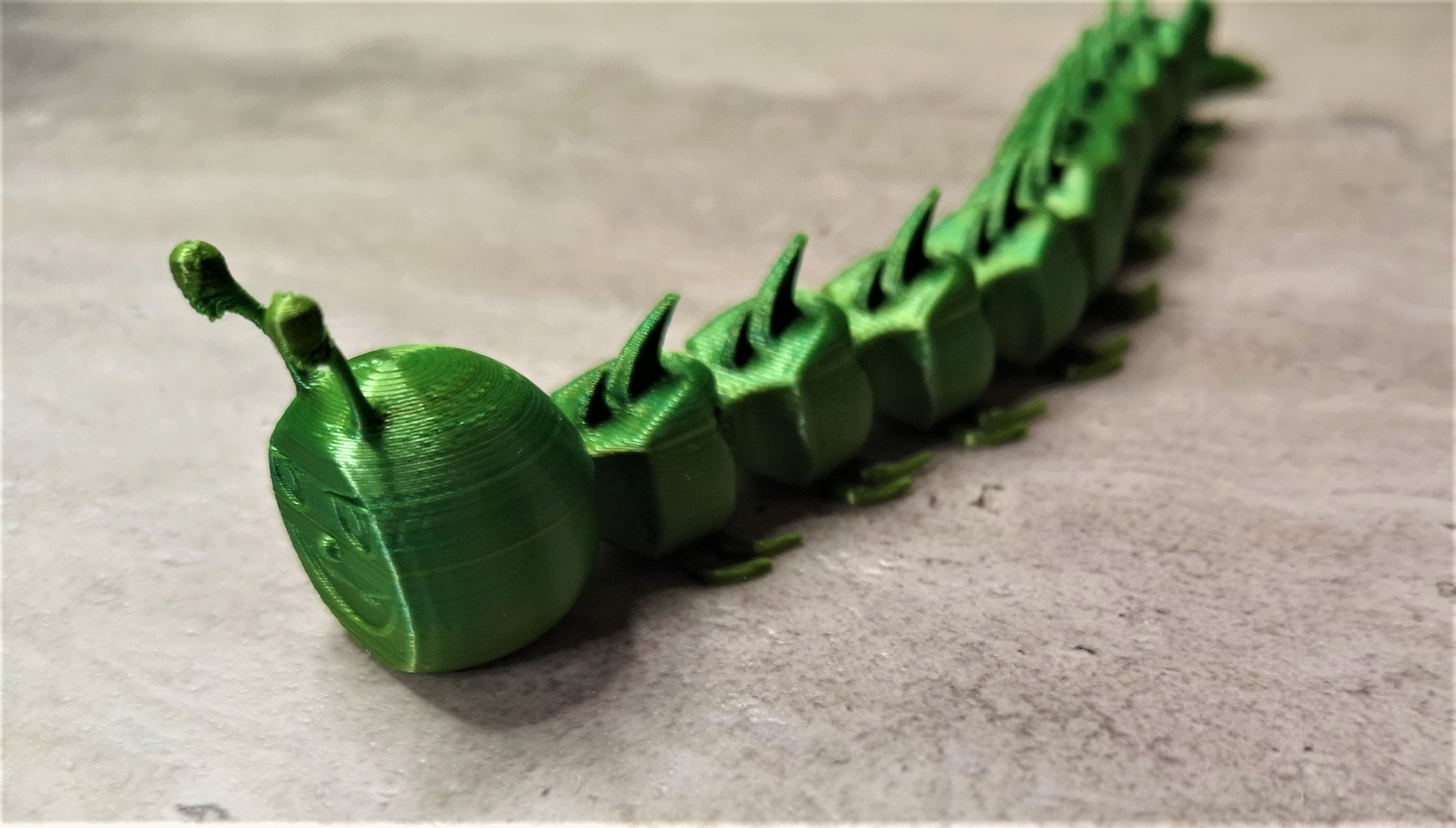 STL file Wobble-Worm 🪱 ・3D printing idea to download・Cults