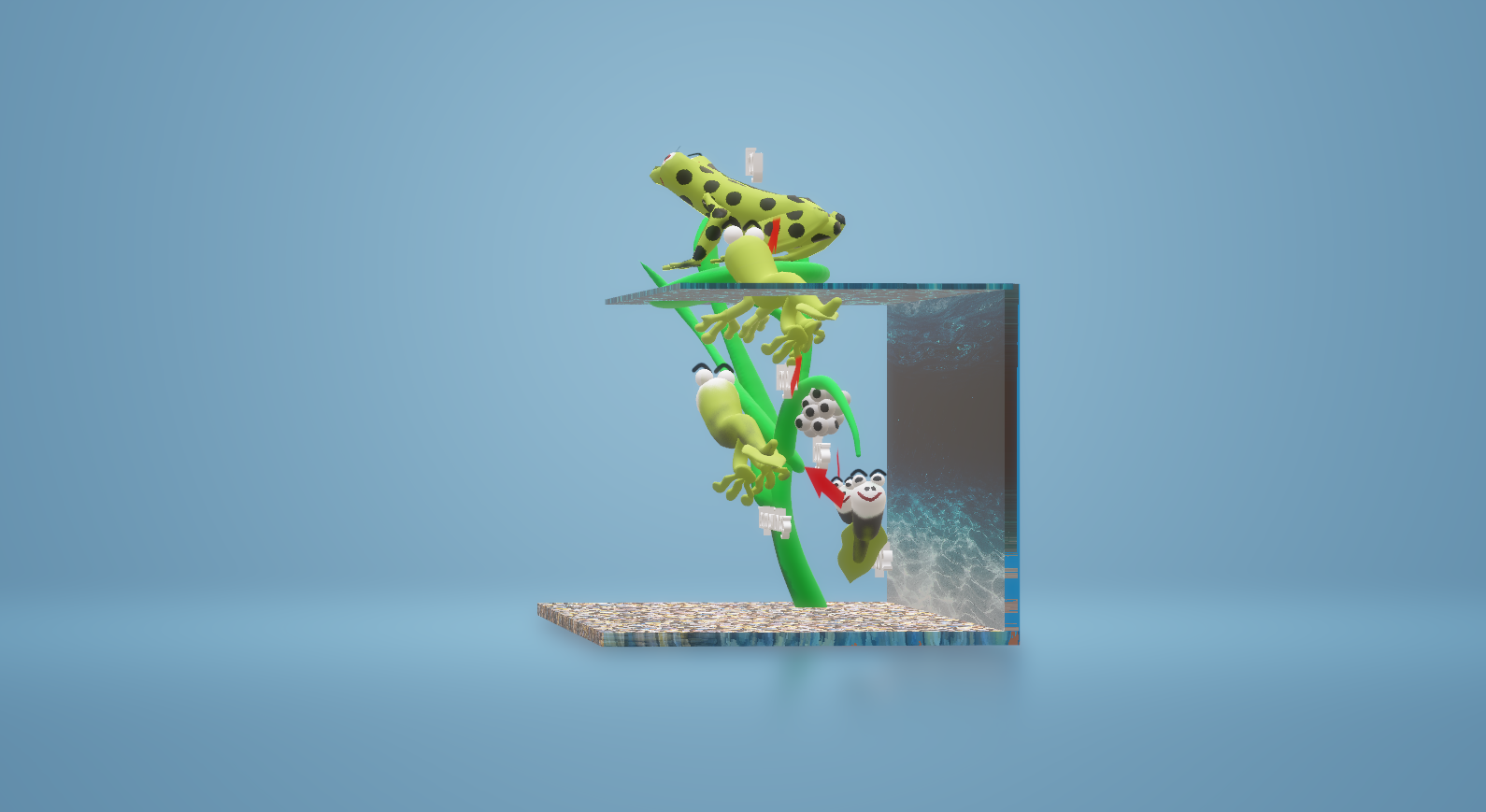 🐸 Life cycle of a frog・ 3D File for ・Cults