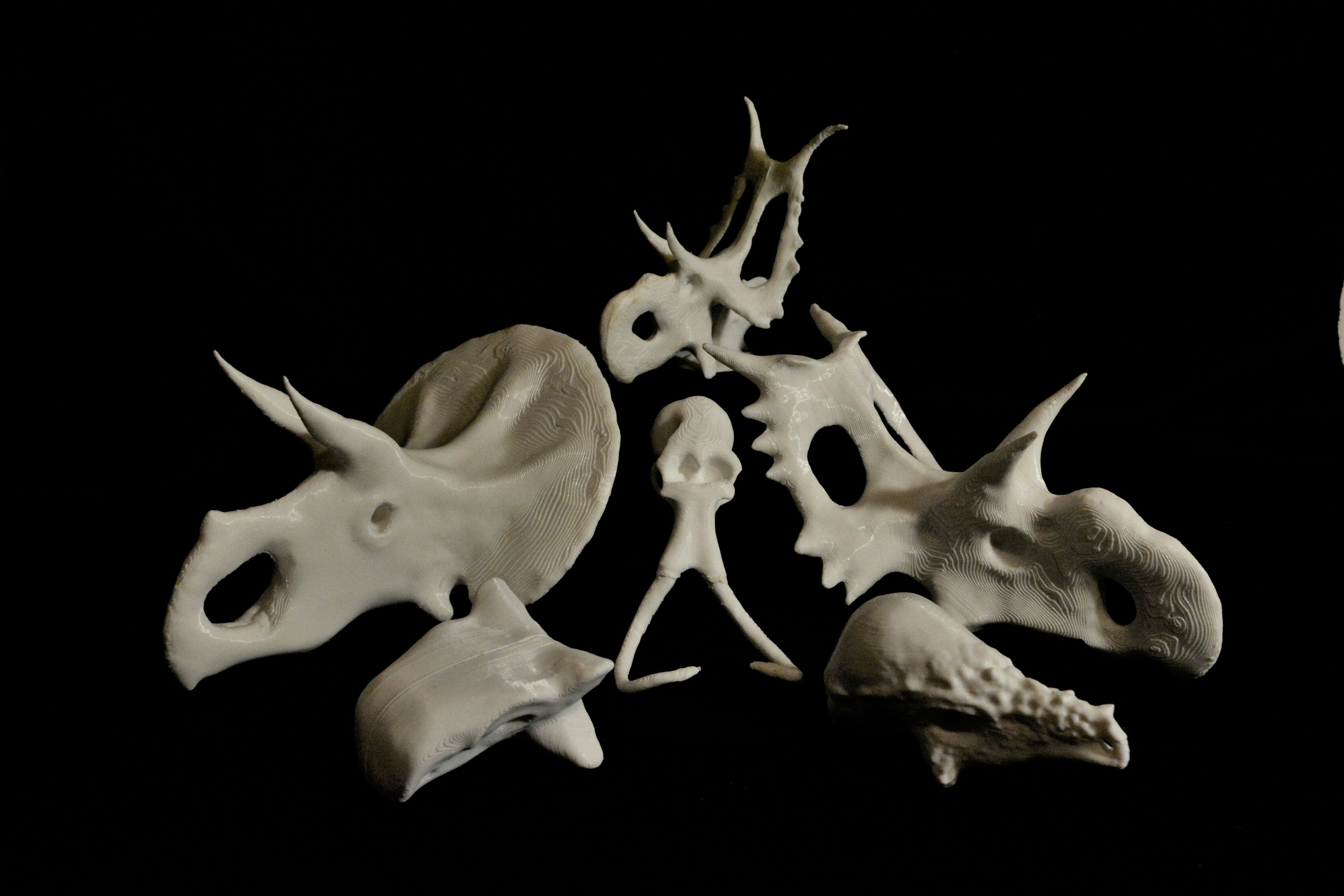🦖 BoneHead Bundle 1・ STL File for 3D printing・Cults