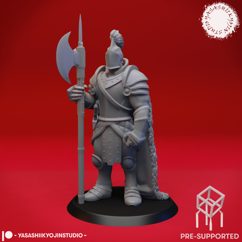STL file Armored Fighter / Knight - Tabletop Miniature (Pre-Supported ...