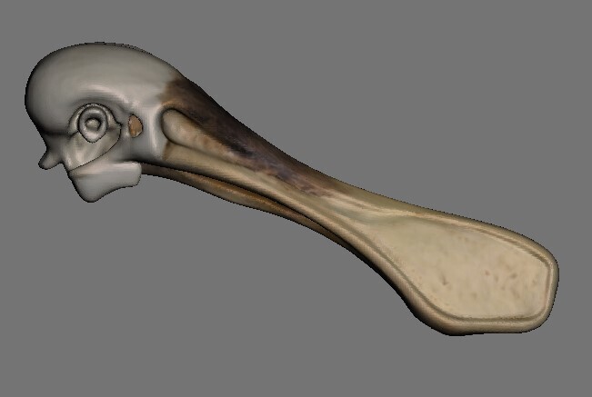 🐦 Bird Skulls・Free 3D File for ・Cults