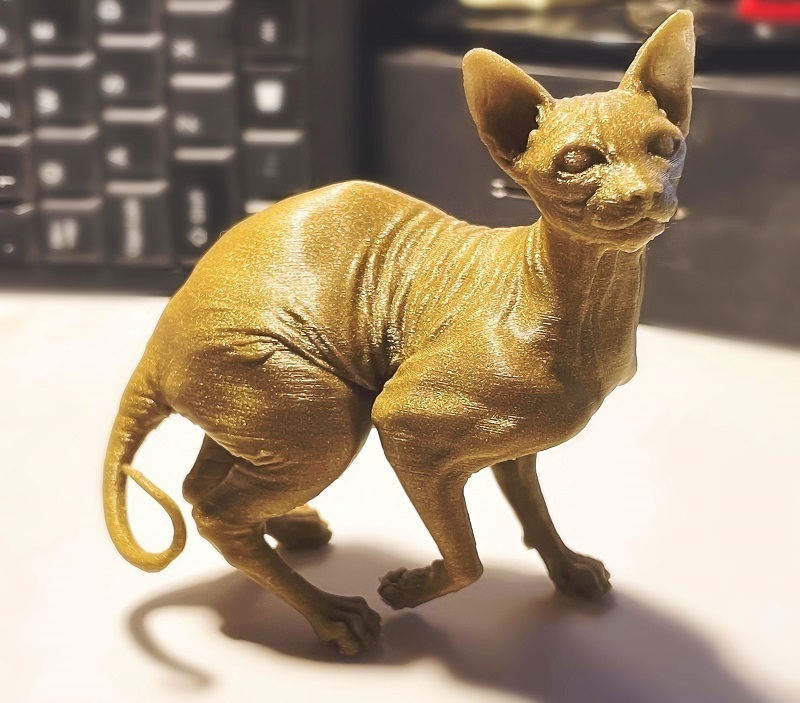 3D printable Sphynx cat • made with Flash Forge・Cults