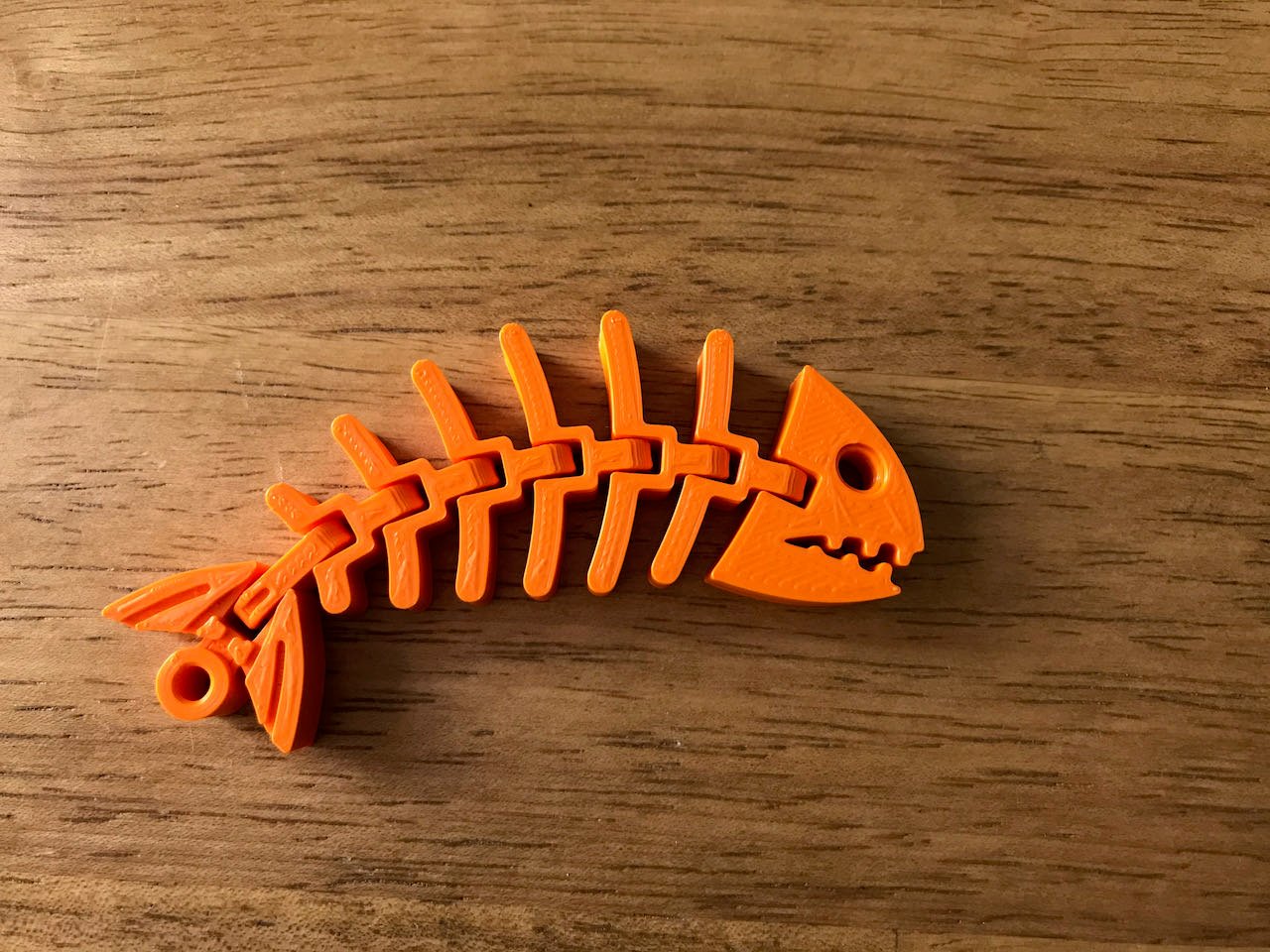 3D printing Fish Fossilz・Cults