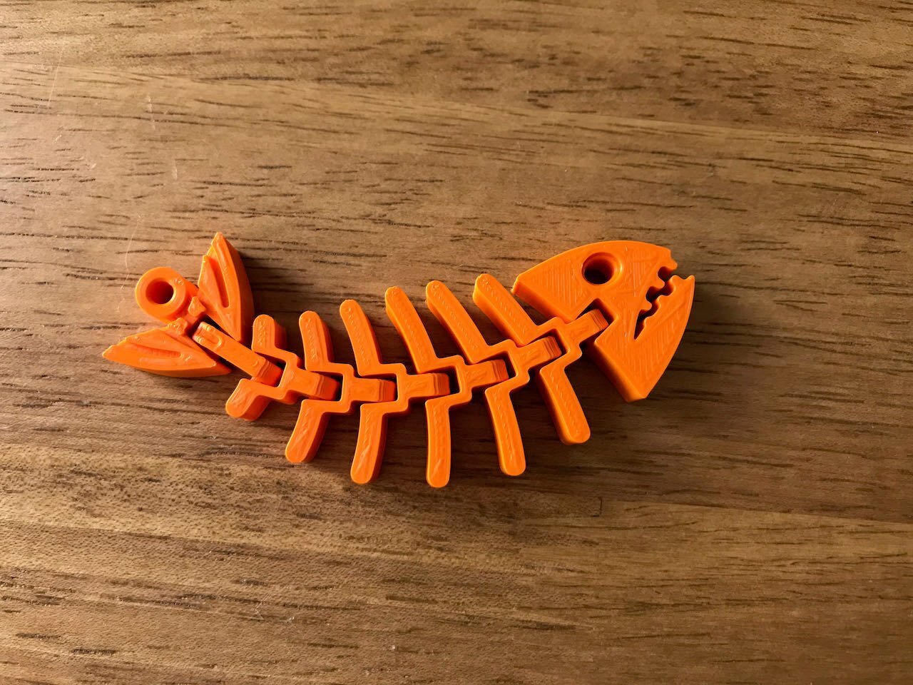 3D printing Fish Fossilz・Cults