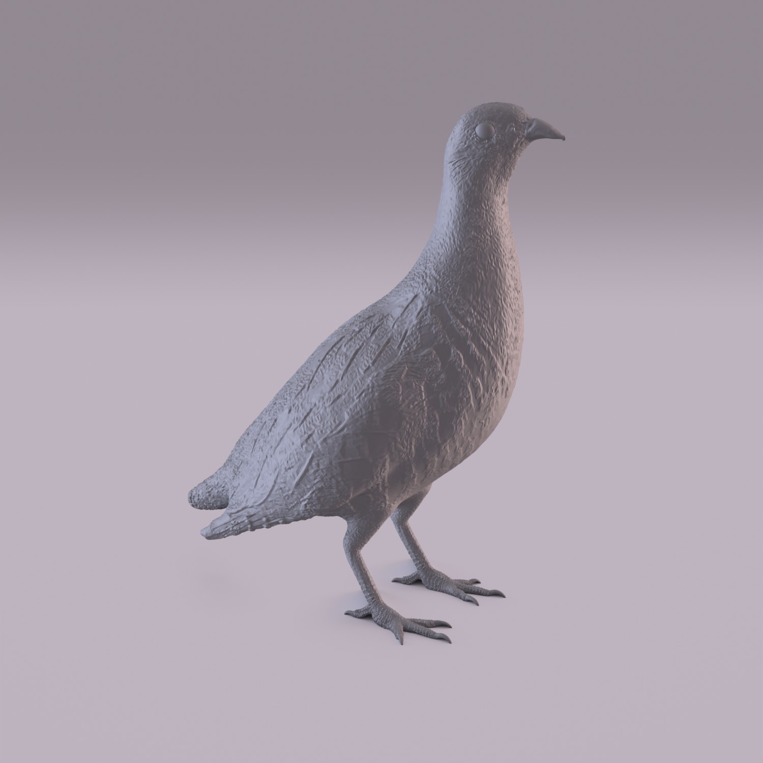 STL file Partridge 🐦 ・3D printable model to download・Cults