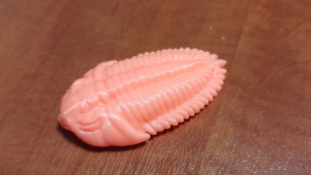 3D print 三葉虫（Trilobite）3Dデータ・Cults