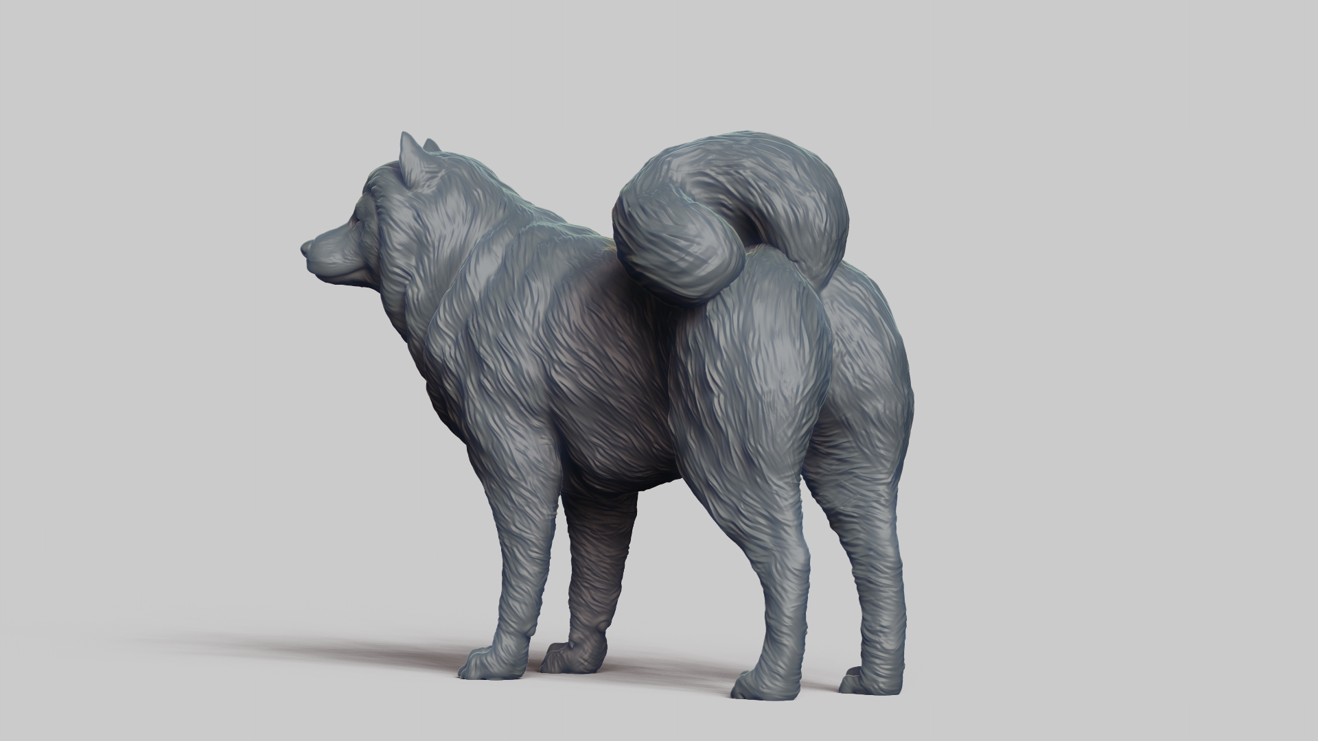 STL file Samoyed V1 🐕 ・3D printing idea to download・Cults