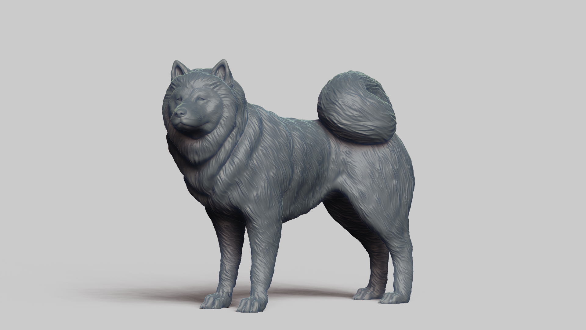 STL file Samoyed V1 🐕 ・3D printing idea to download・Cults