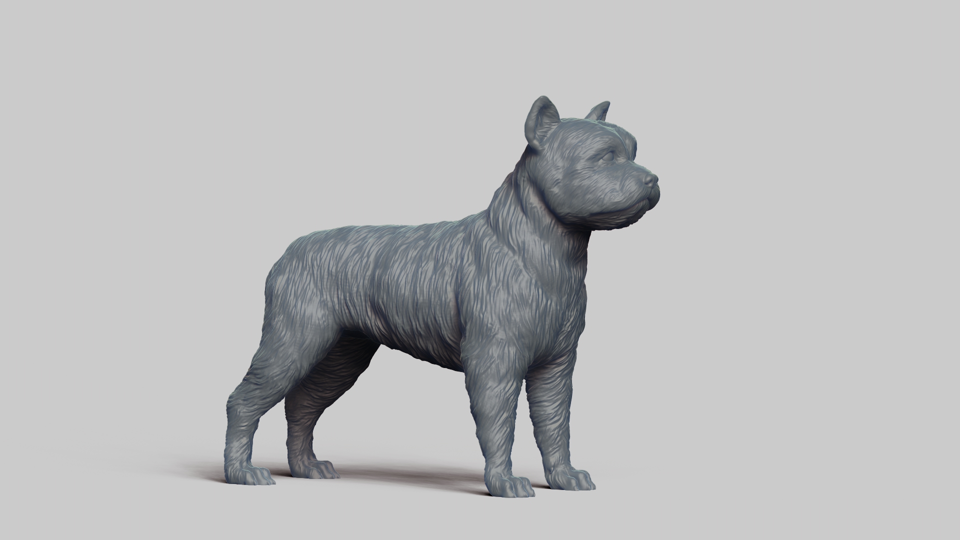 STL file Yorkie V3 🐕 ・3D print design to download・Cults