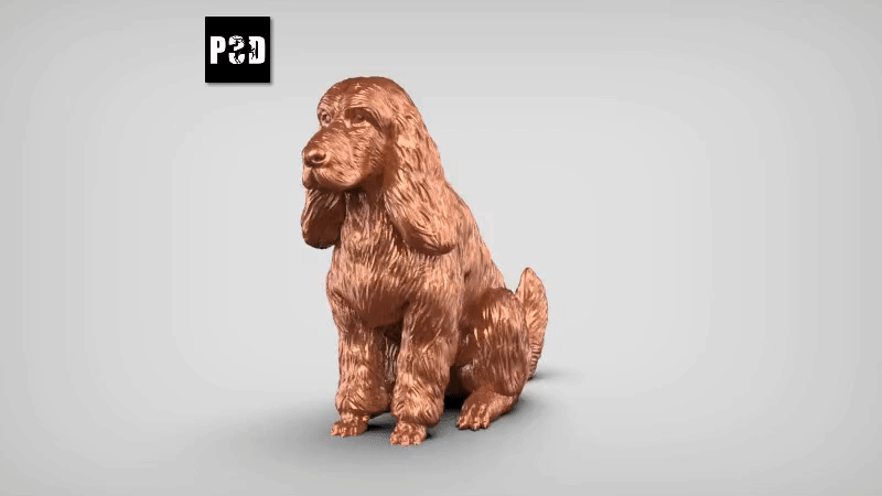 STL file English Cocker Spaniel V2 🐕 ・Design to download and 3D print・Cults