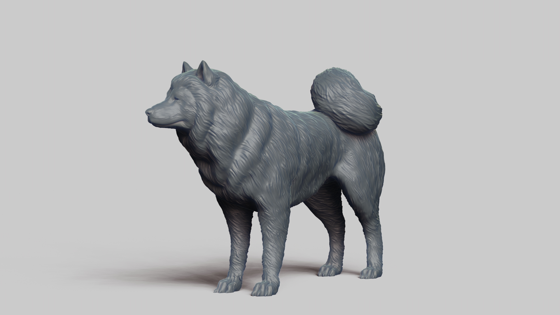 STL file Samoyed V2 🐕 ・3D printable model to download・Cults