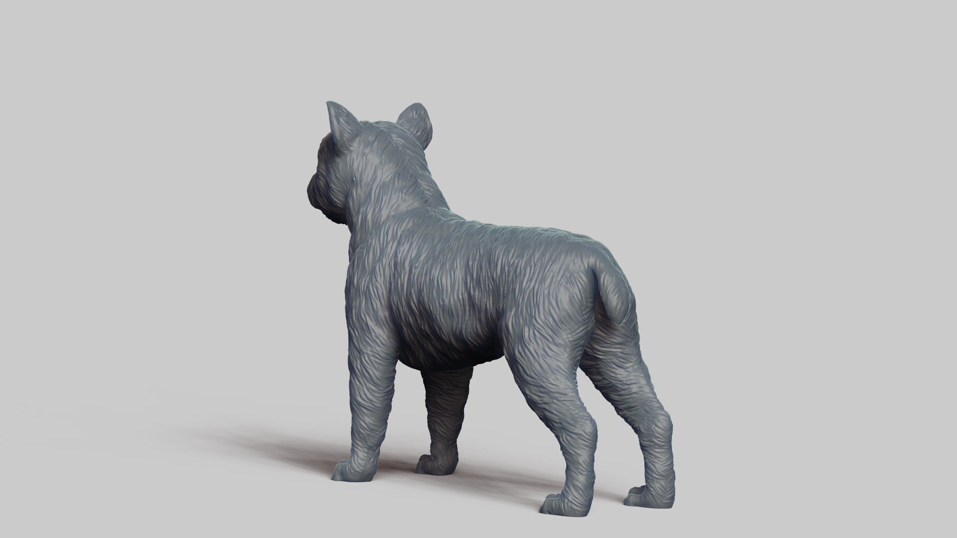 STL file Yorkie V3 🐕 ・3D print design to download・Cults