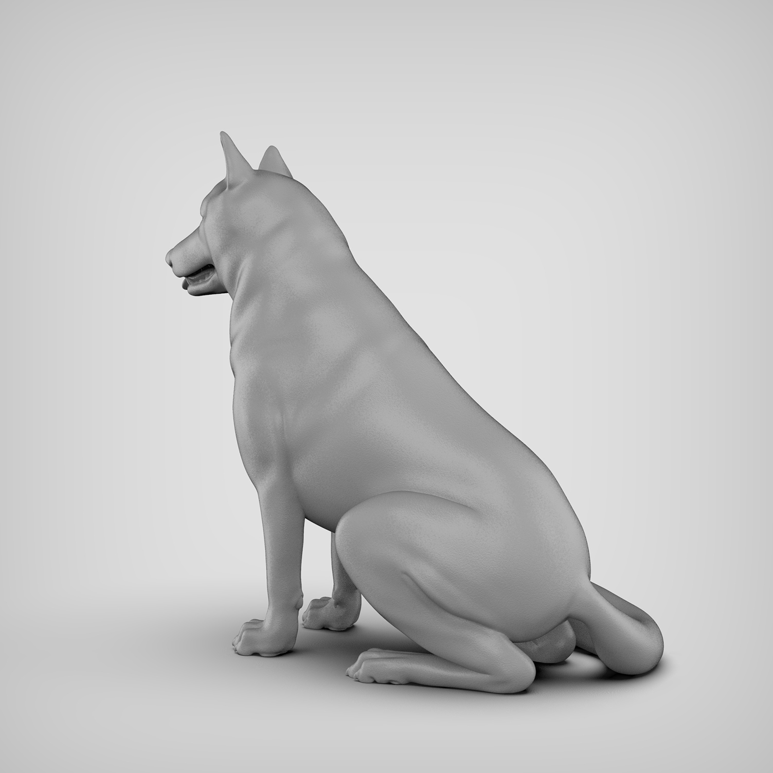 STL file Siberian Husky Pose 03 🐕 ・3D print object to download・Cults
