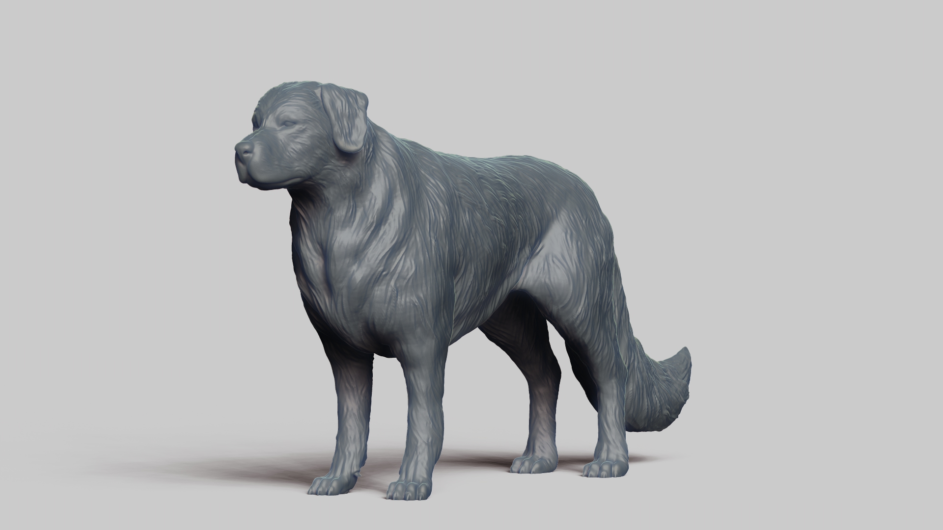STL file Golden Retriever V3 🐕 ・3D printable model to download・Cults