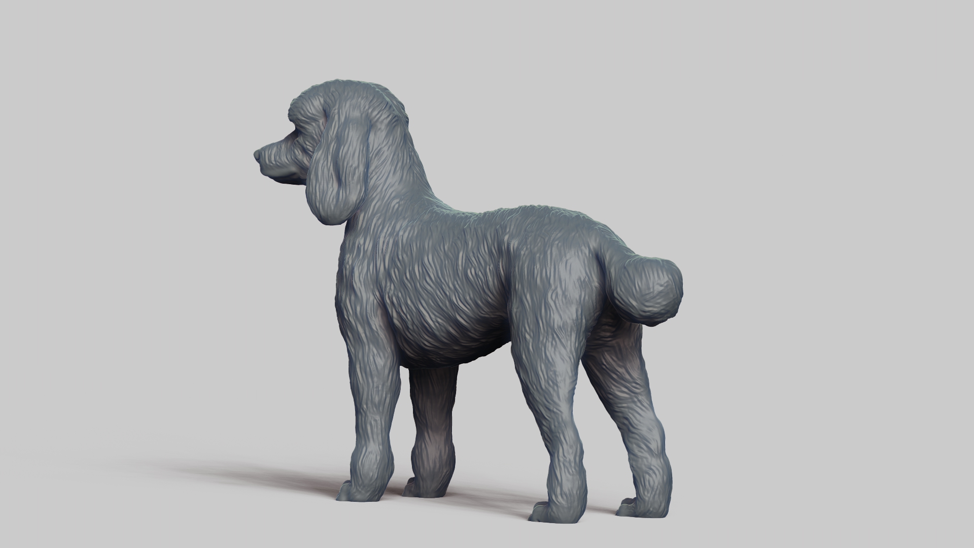 STL file Large Poodle V1 🐩 ・Design to download and 3D print・Cults