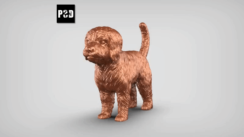 Fichier STL Cavoodle V3 🎨・Plan imprimable en 3D à télécharger・Cults