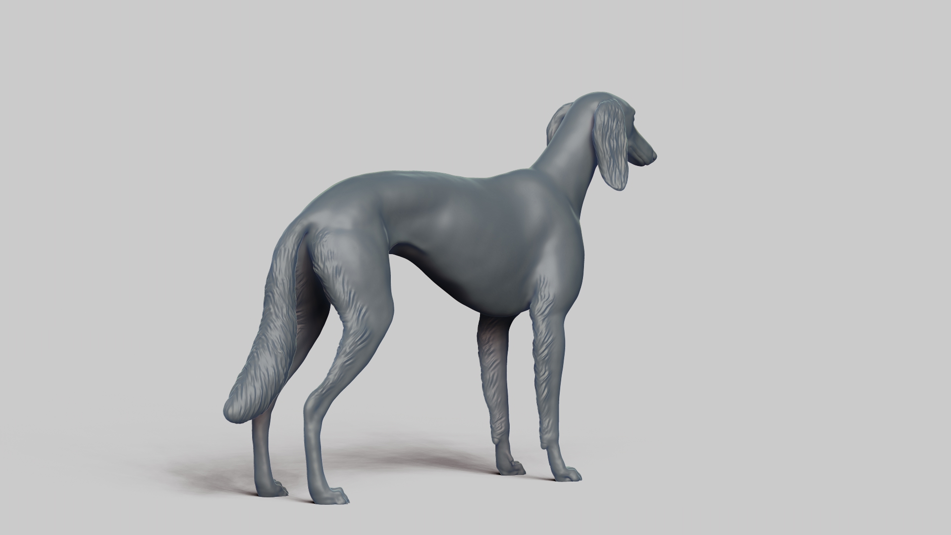 STL file Saluki V3 🐕 ・Template to download and 3D print・Cults