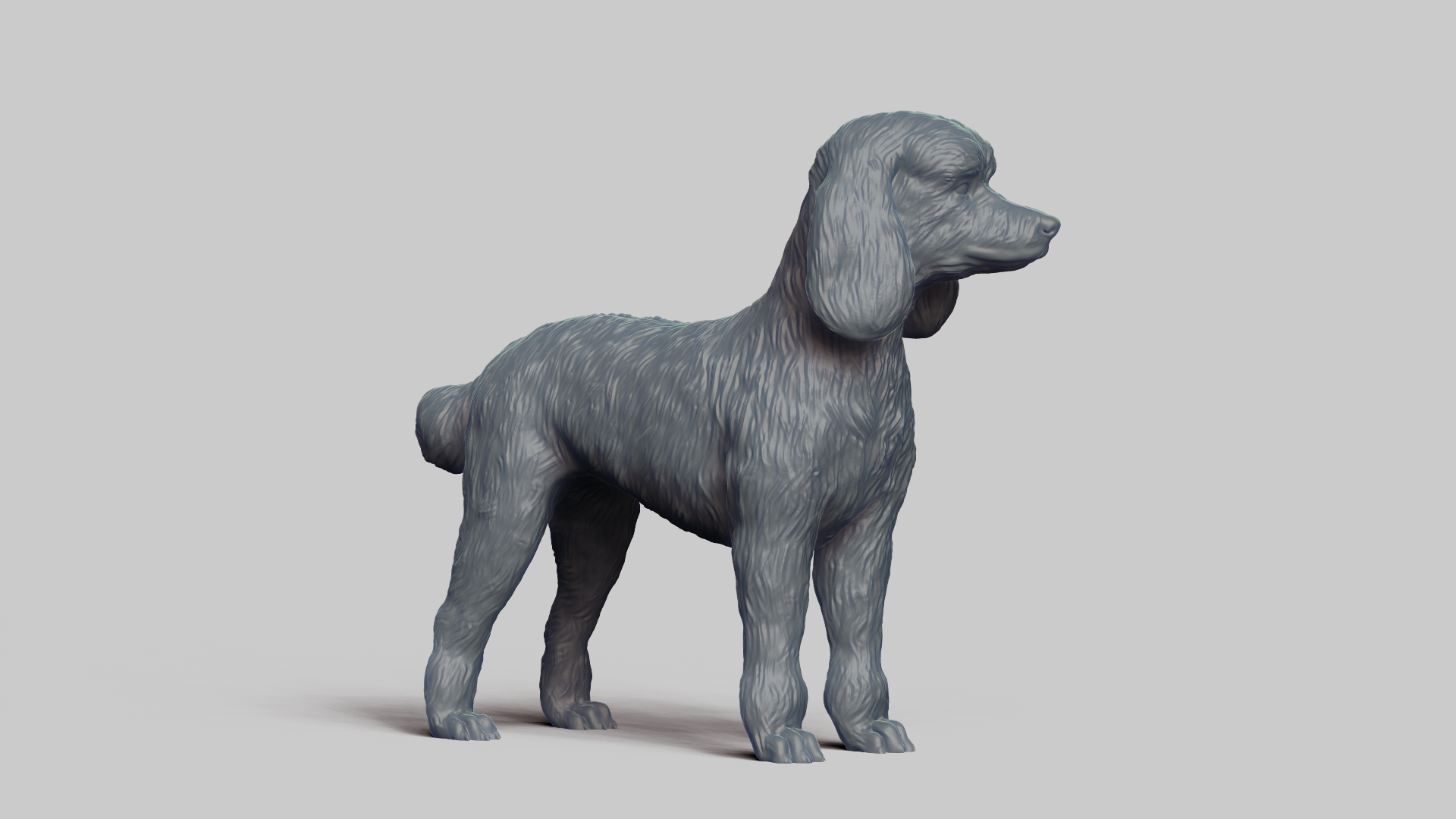 STL file Large Poodle V1 🐩 ・Design to download and 3D print・Cults