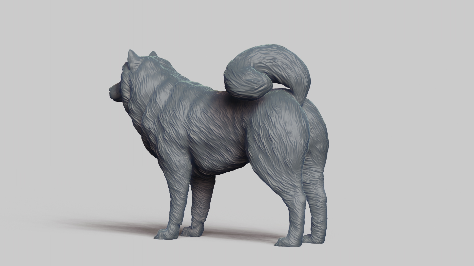 STL file Samoyed V3 🐕 ・3D printer model to download・Cults