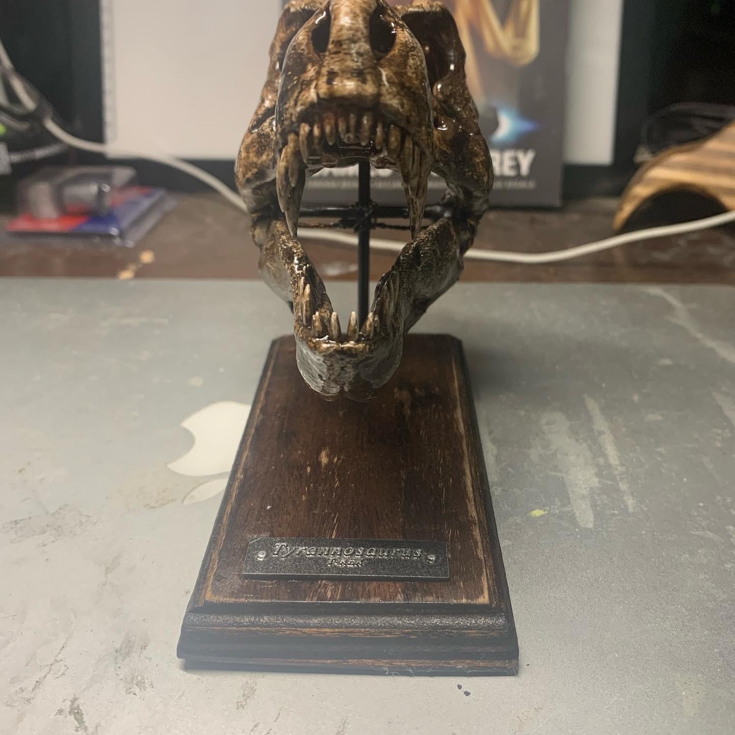 3D printer T rex skull • made with Creality・Cults