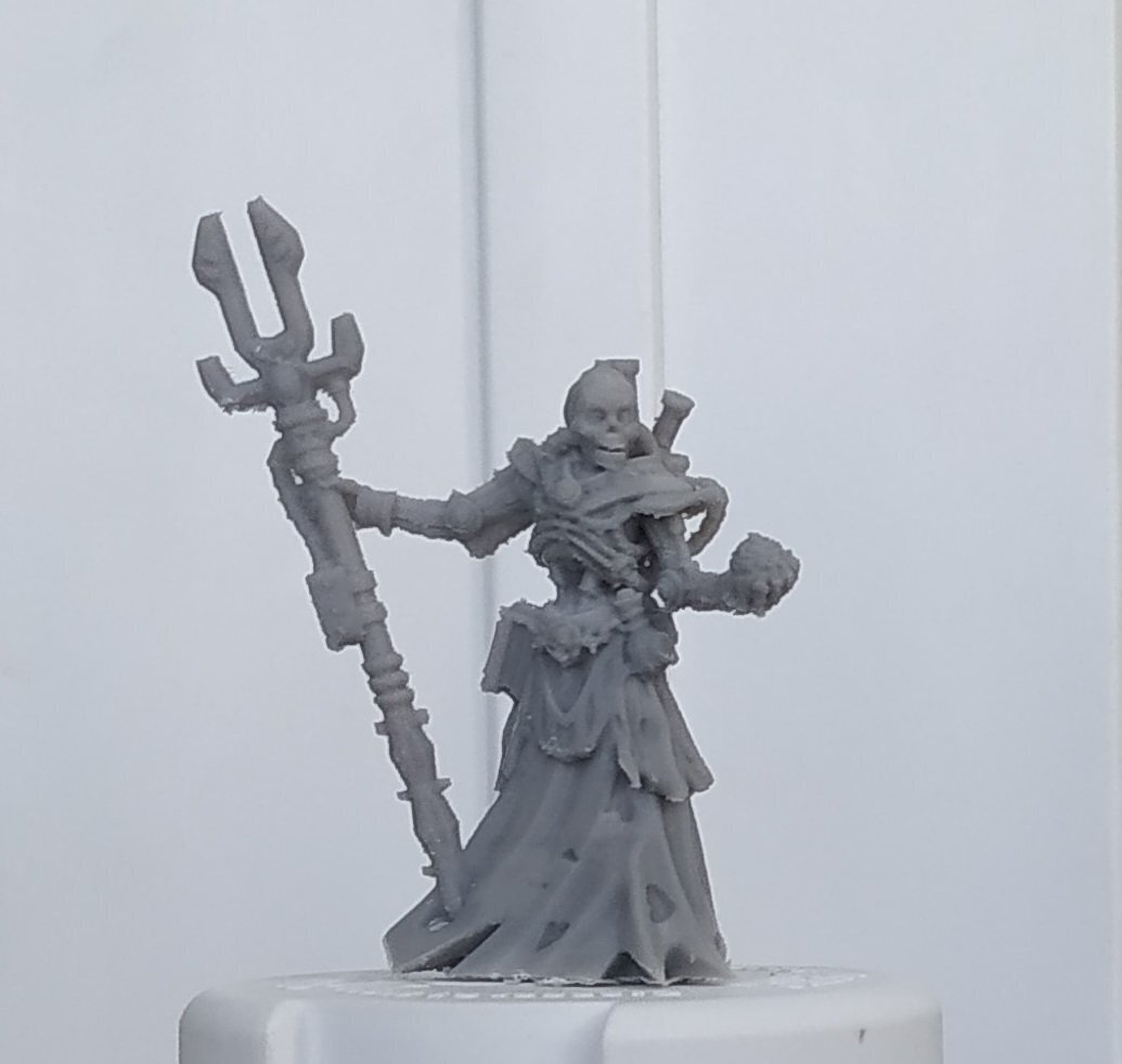 3D print Cyborg lich・Cults