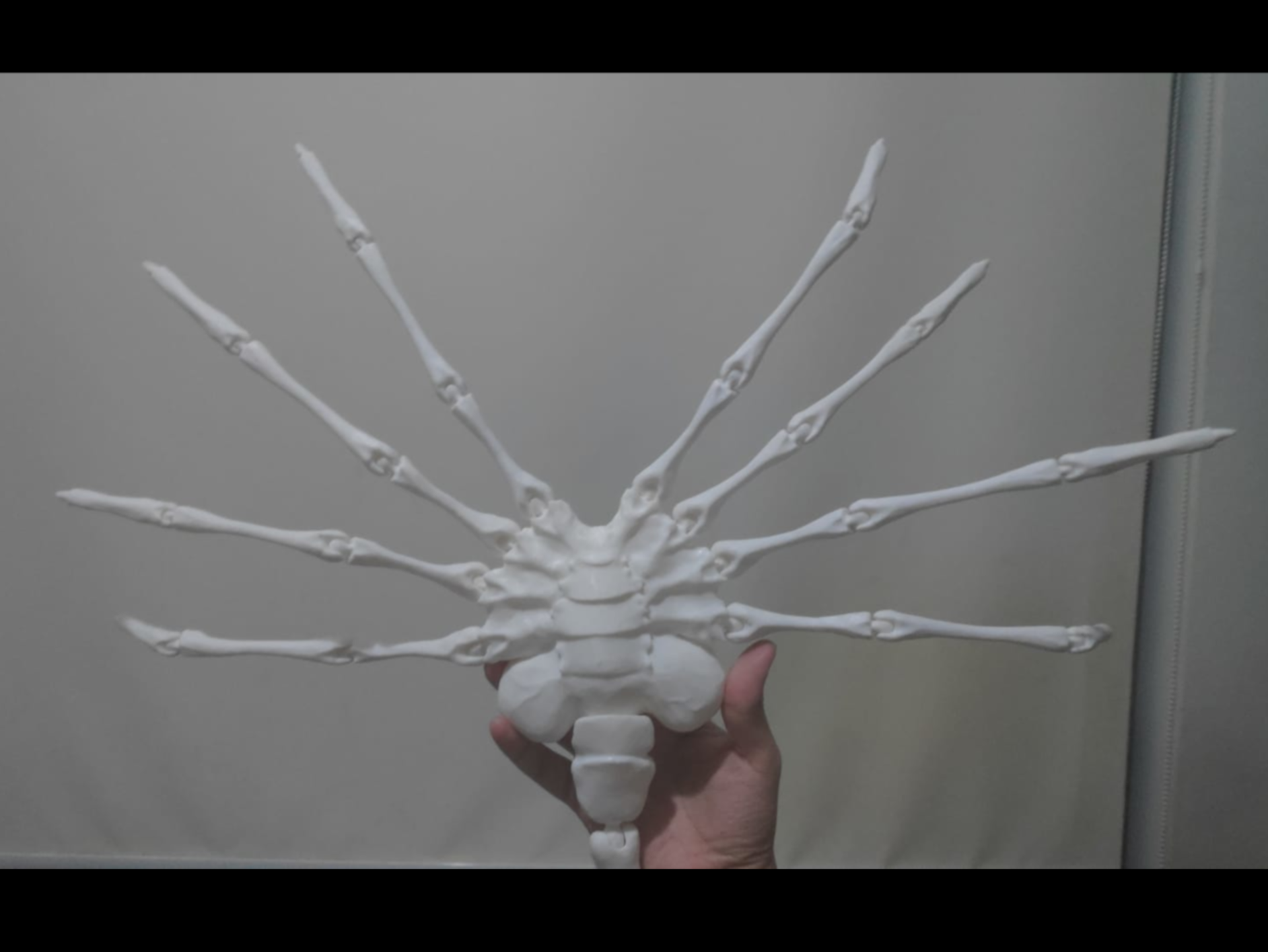 3D printing Agisis Ultimate Alien Face Hugger (40in x 23in - LIFE SIZE ...