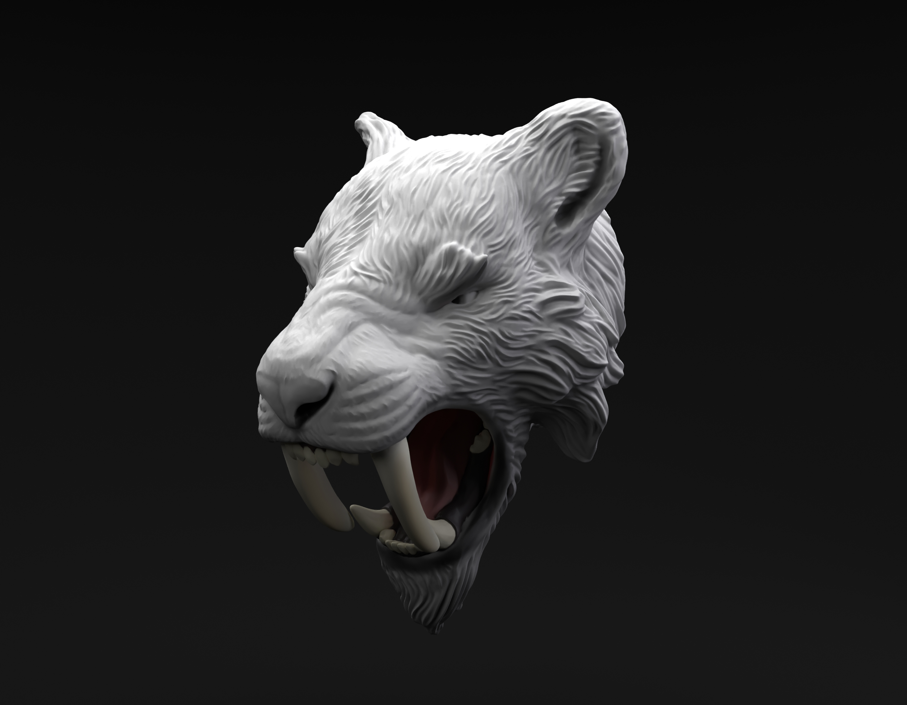 3D file Smilodon Sabertooth tiger head 🐅 ・3D printable model to ...