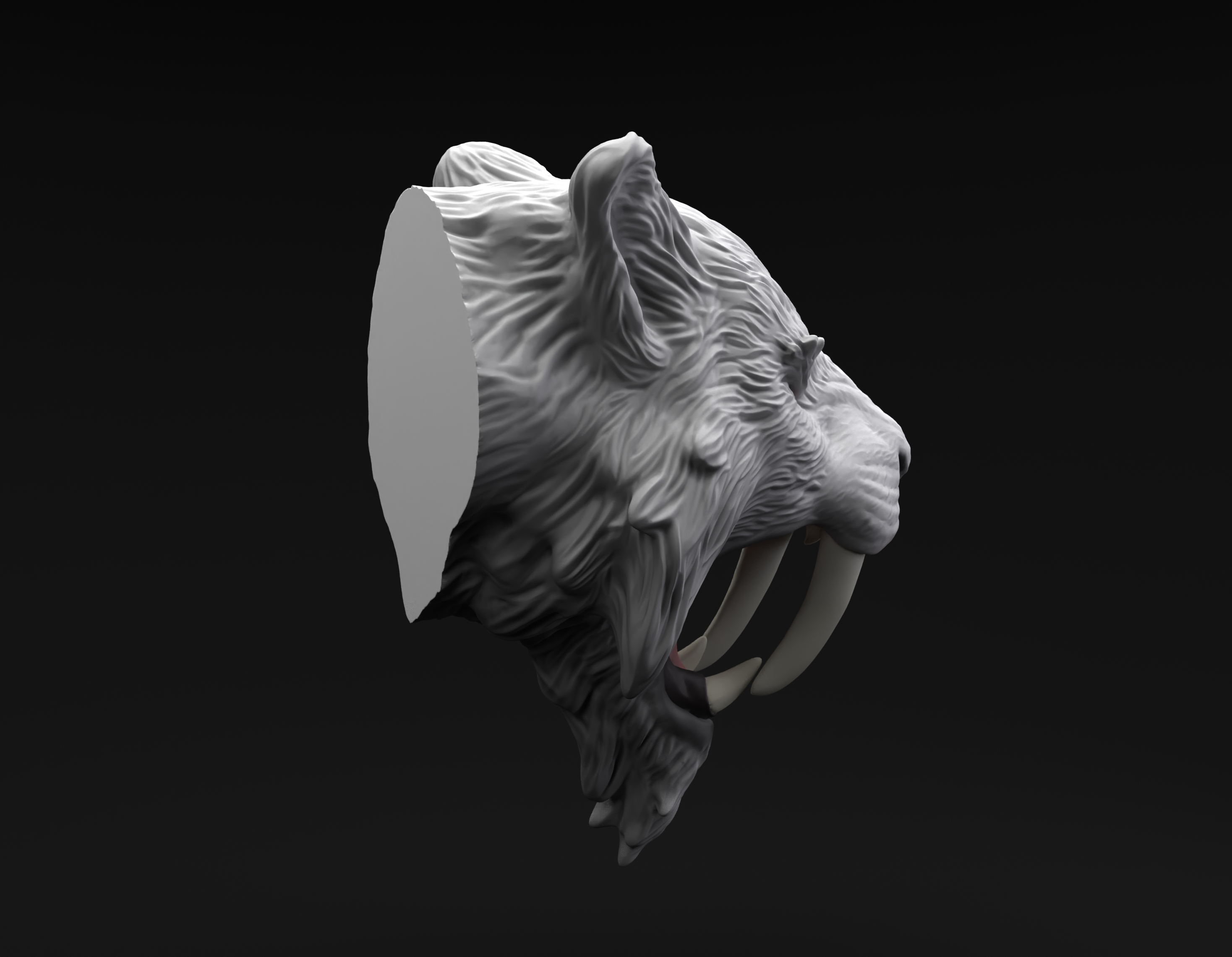 3D file Smilodon Sabertooth tiger head 🐅 ・3D printable model to ...