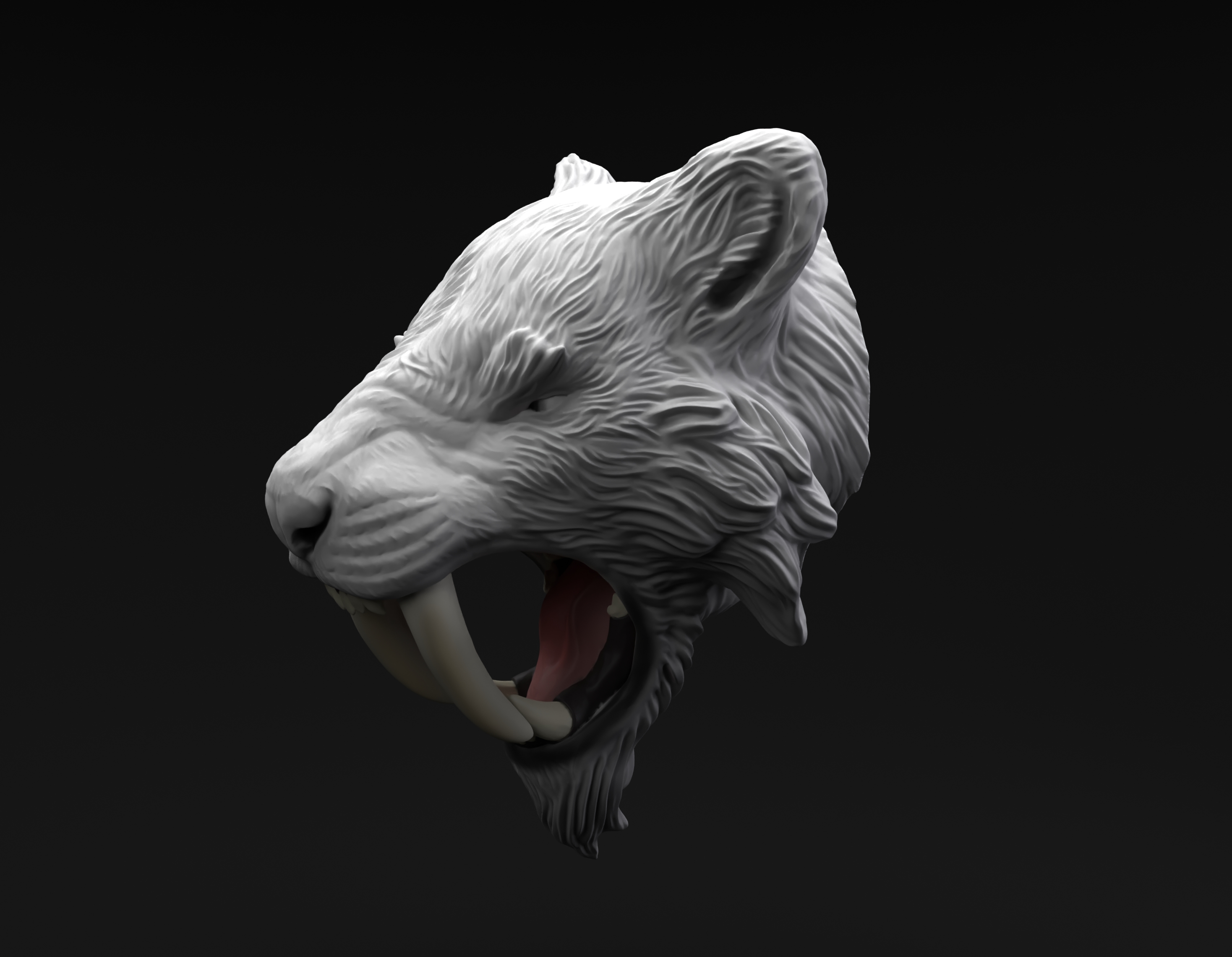 3D file Smilodon Sabertooth tiger head 🐅 ・3D printable model to ...
