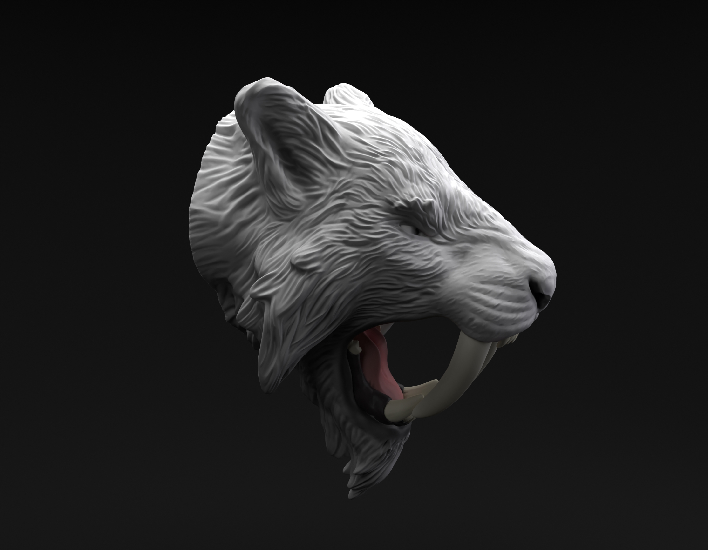 3D file Smilodon Sabertooth tiger head 🐅 ・3D printable model to ...