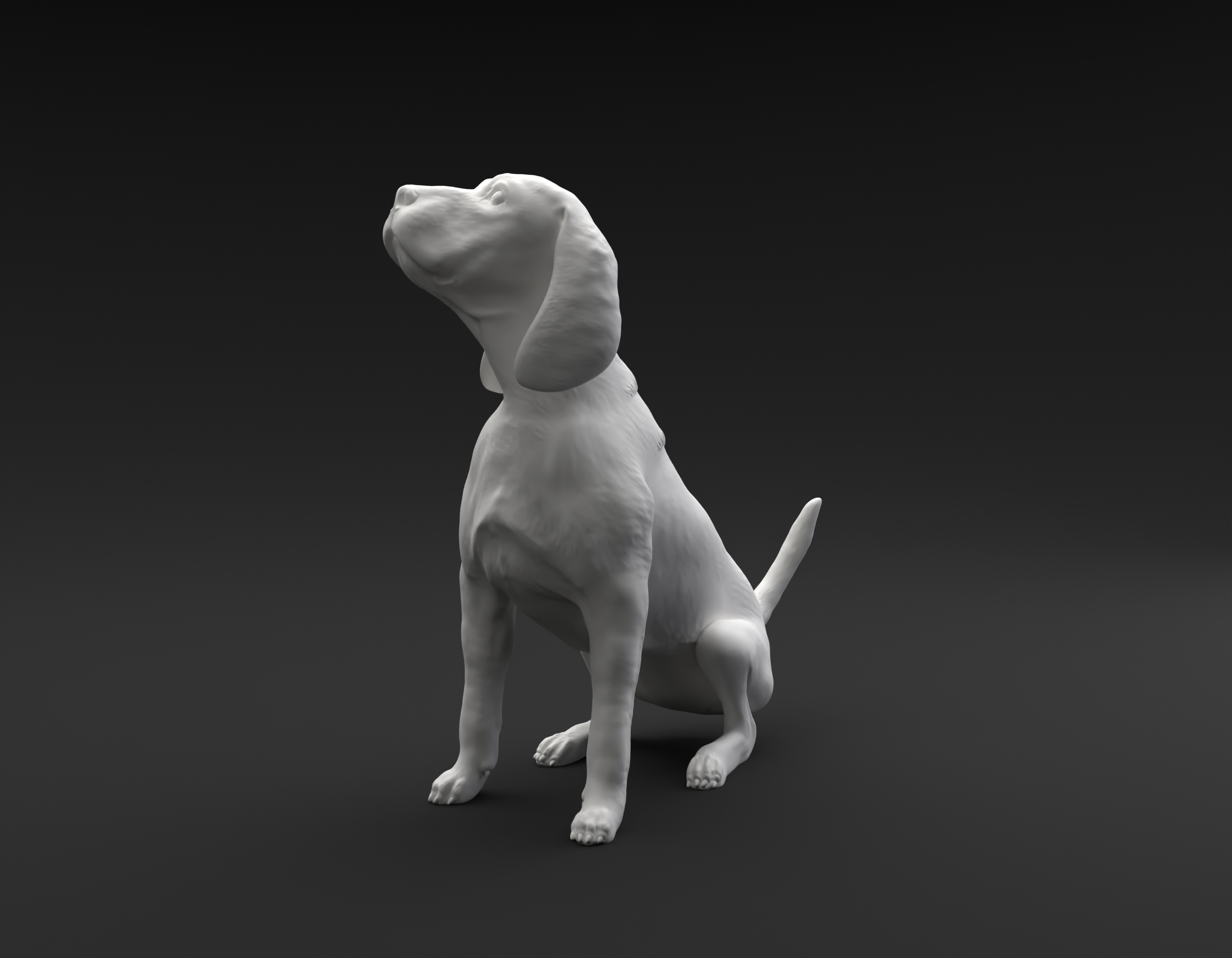 3D file Beagle sitting in two positions 🐕 ・Model to download and 3D ...