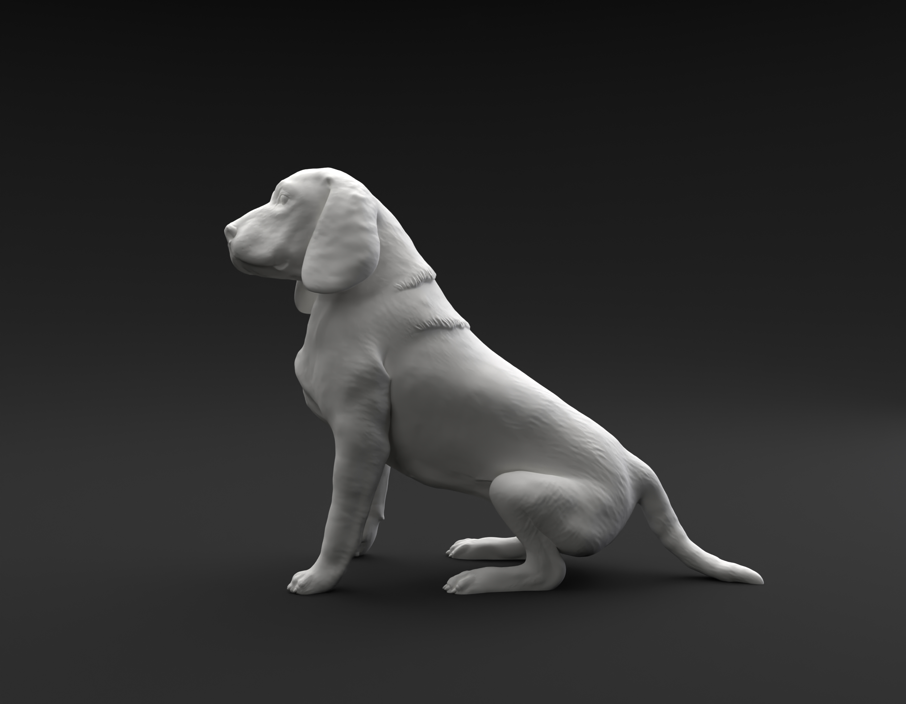 3D file Beagle sitting in two positions 🐕 ・Model to download and 3D ...