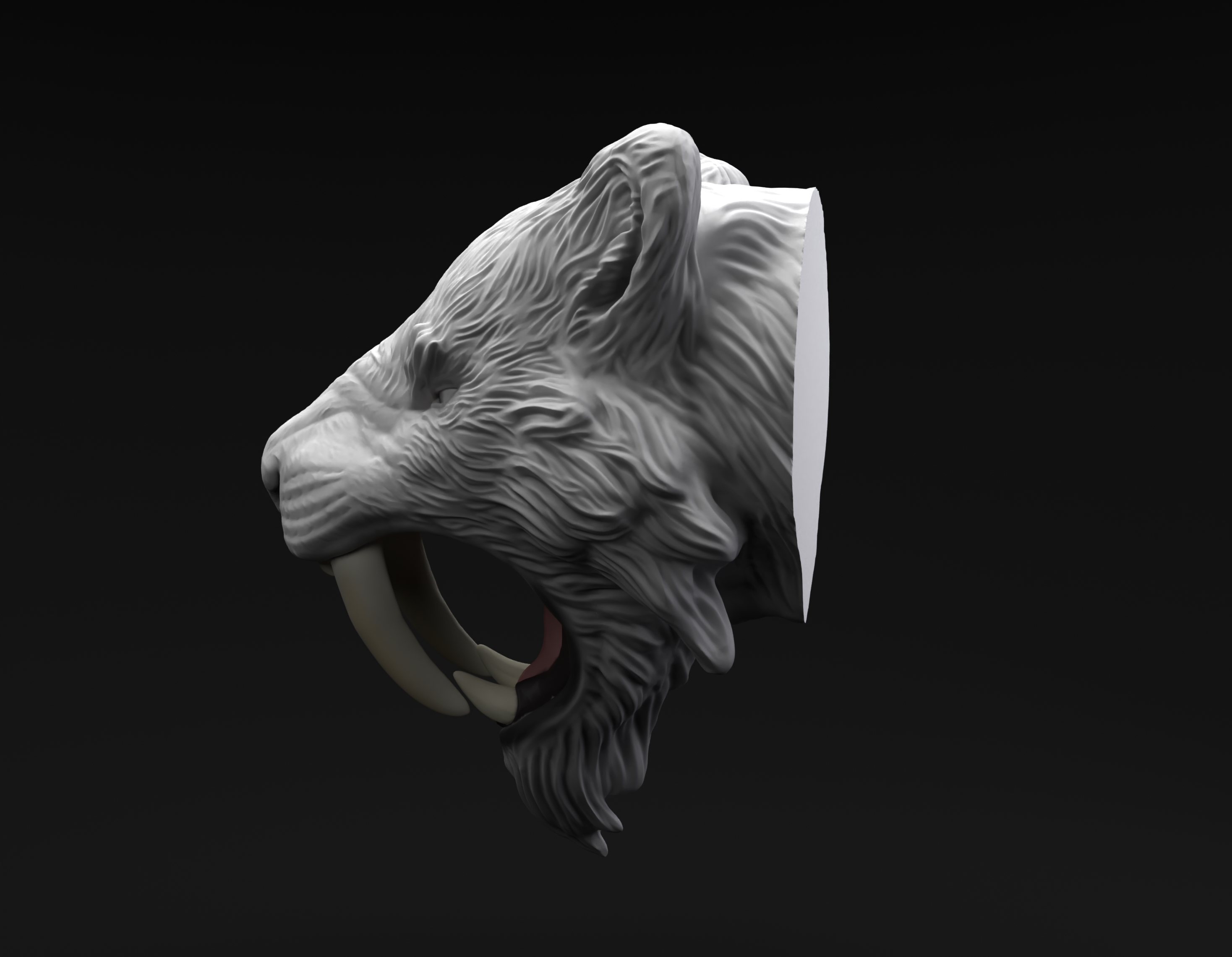 3D file Smilodon Sabertooth tiger head 🐅 ・3D printable model to ...