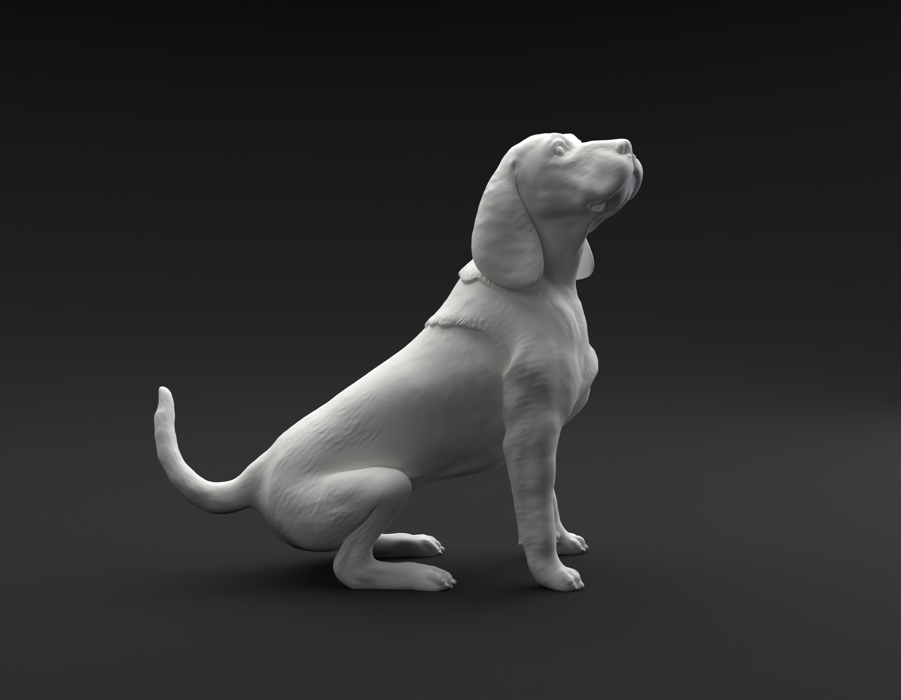 3D file Beagle sitting in two positions 🐕 ・Model to download and 3D ...