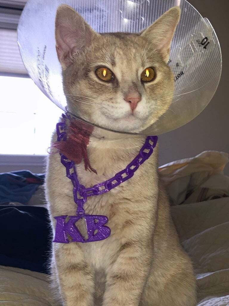 Archivo STL gratis Collar de cadena KB Cat 🐱 ・Plan de impresión en 3D ...