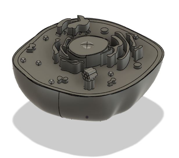 🌿 Animal cell・ STL File for ・Cults