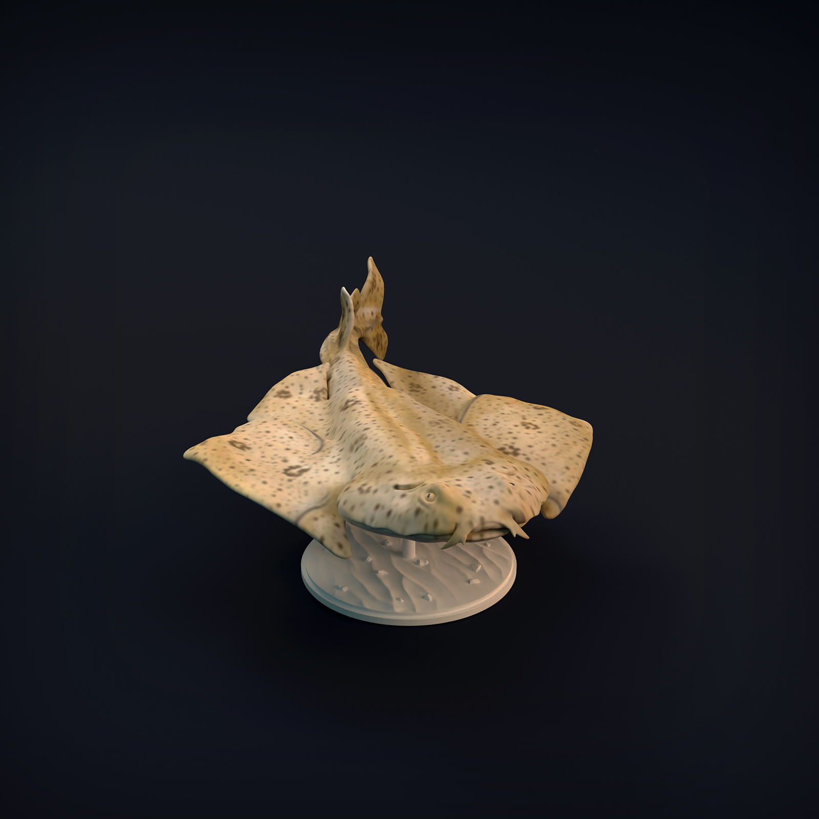3D file Angel Shark 👼 ・3D printing template to download・Cults